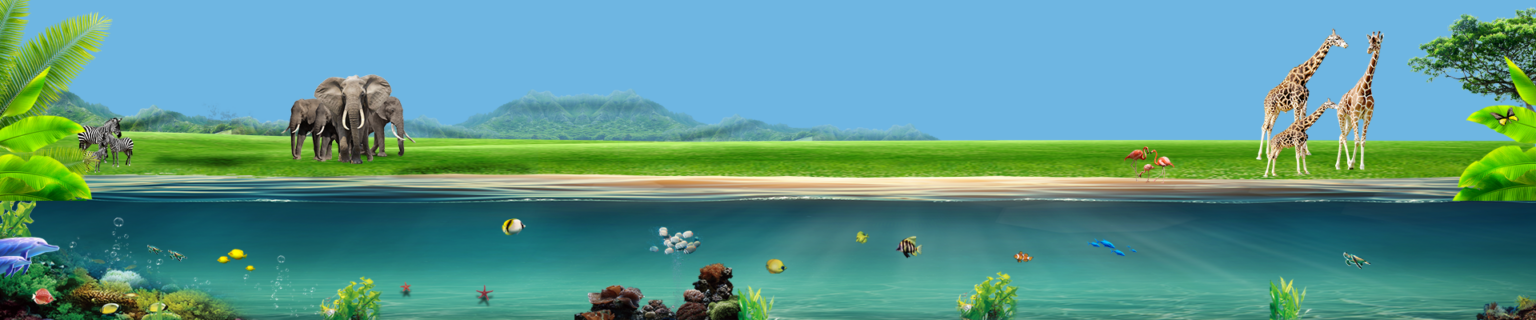 Elohim: God the Father and God the Mother - WMSCOG New York